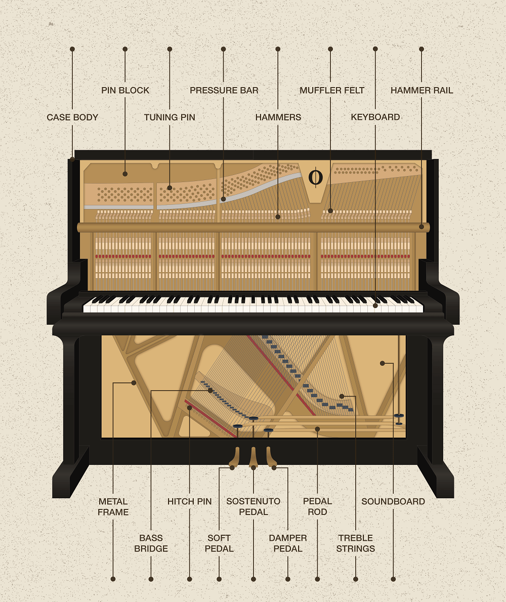 Piano Inside Diagram Part Names And Basic Terms Of Piano And Keyboard